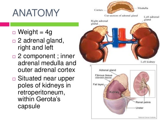 Disorders of adrenal gland