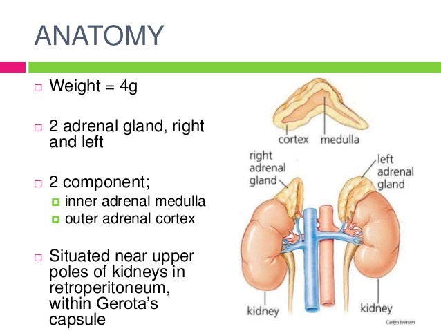 DISORDERS OF ADRENAL GLAND