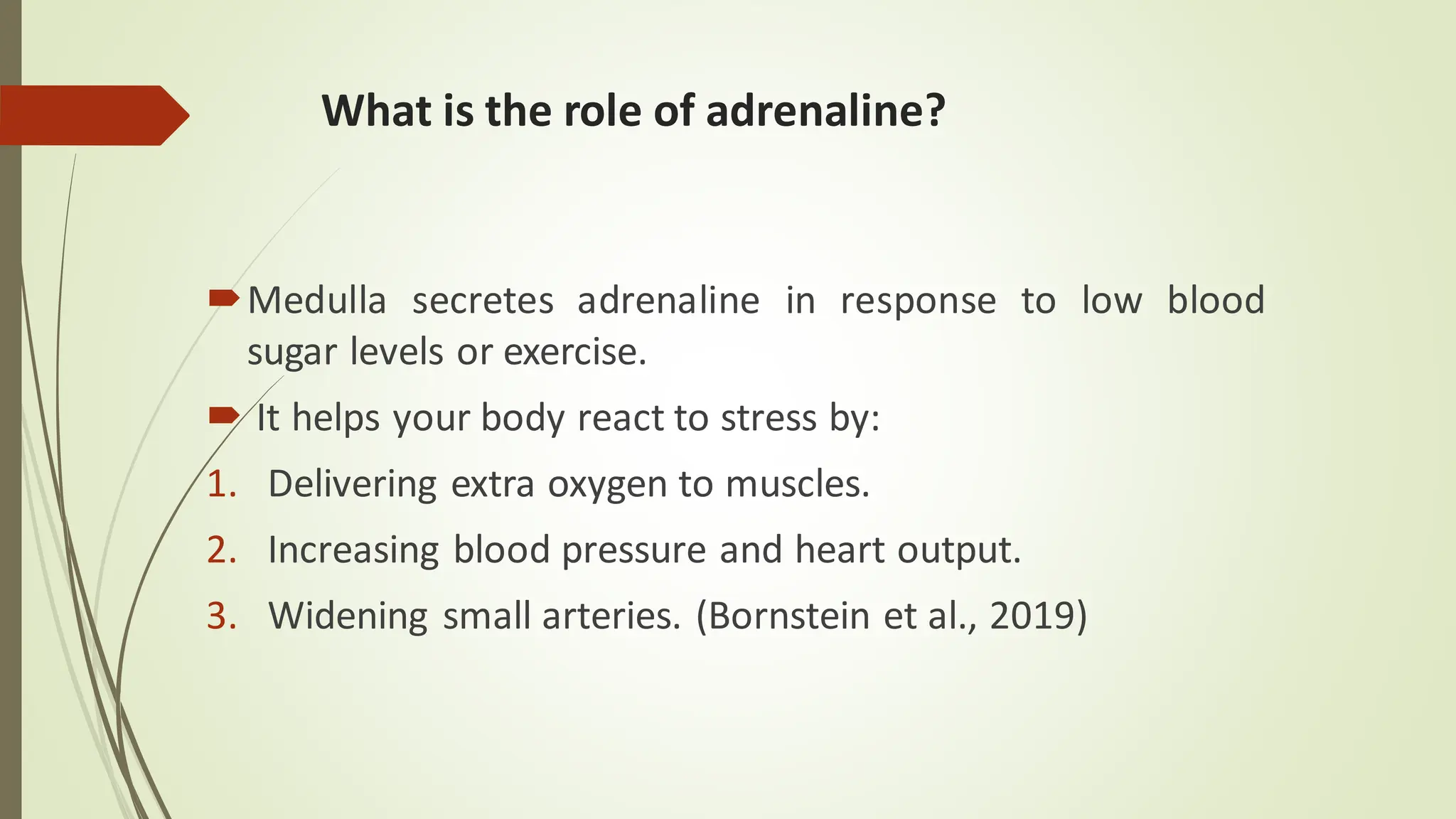 disorders of adrenal medulla.pdf