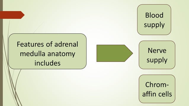 disorders of adrenal medulla.pdf | Endocrine and Metabolic Diseases | Diseases and Conditions