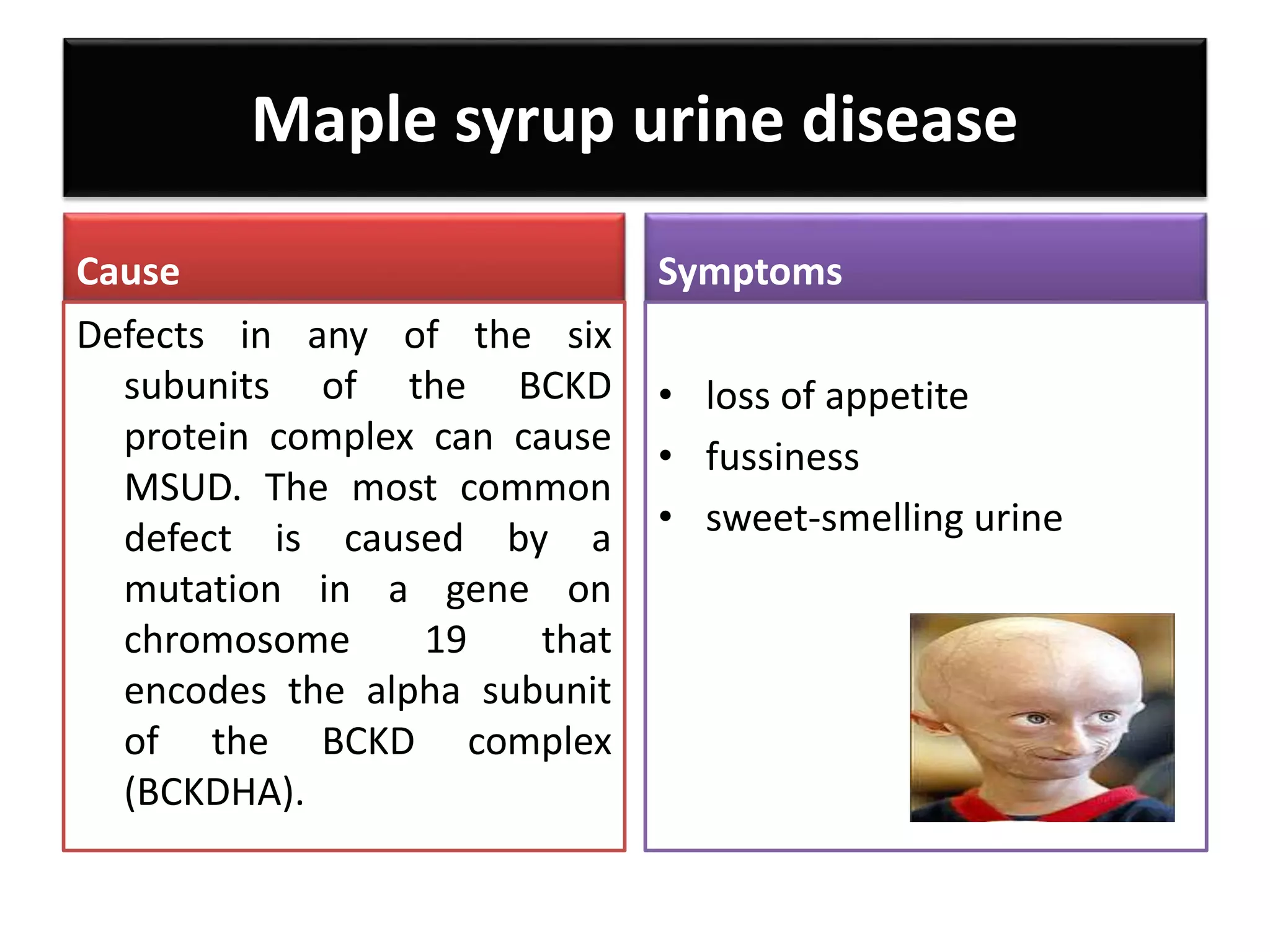 Disorders of amino acid metabolism | PPTX