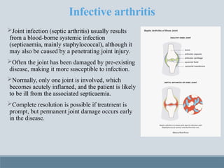 Disorders of Bones and Joints Pharm d.pptx