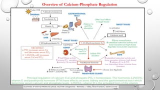 Disorders of Calcium and Phosphate Metabolism.ppt