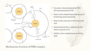 Disorders of carbohydrate metabolism | PPTX