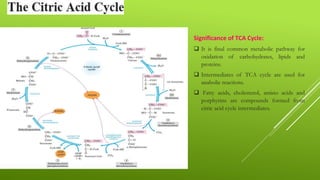 Disorders of carbohydrate metabolism. | PPTX