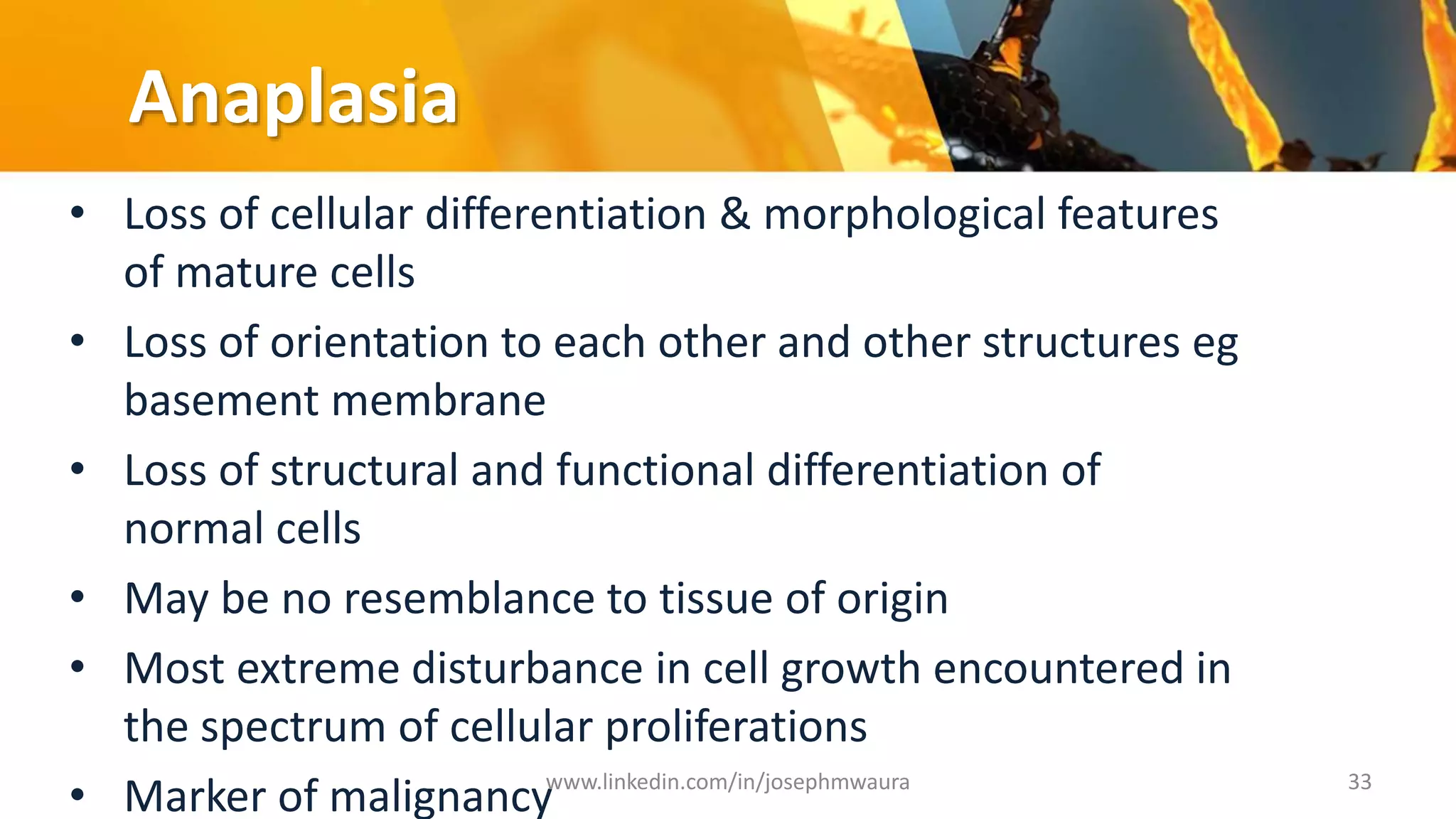 Disorders of cell growth - Dr Mwaura | PPTX
