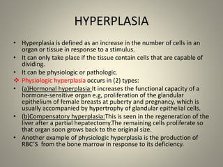 Disorders of cell growth and differentiation | PPTX