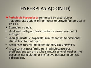 Disorders of cell growth and differentiation | PPTX