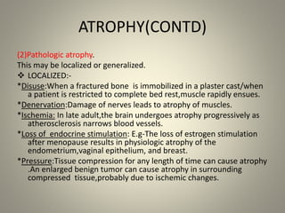 Disorders of cell growth and differentiation | PPTX | Endocrine and ...