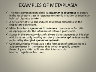 Disorders of cell growth and differentiation | PPTX