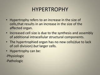 Disorders of cell growth and differentiation | PPTX
