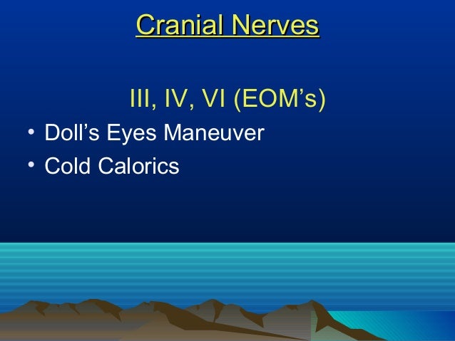 Disorders of consciousness