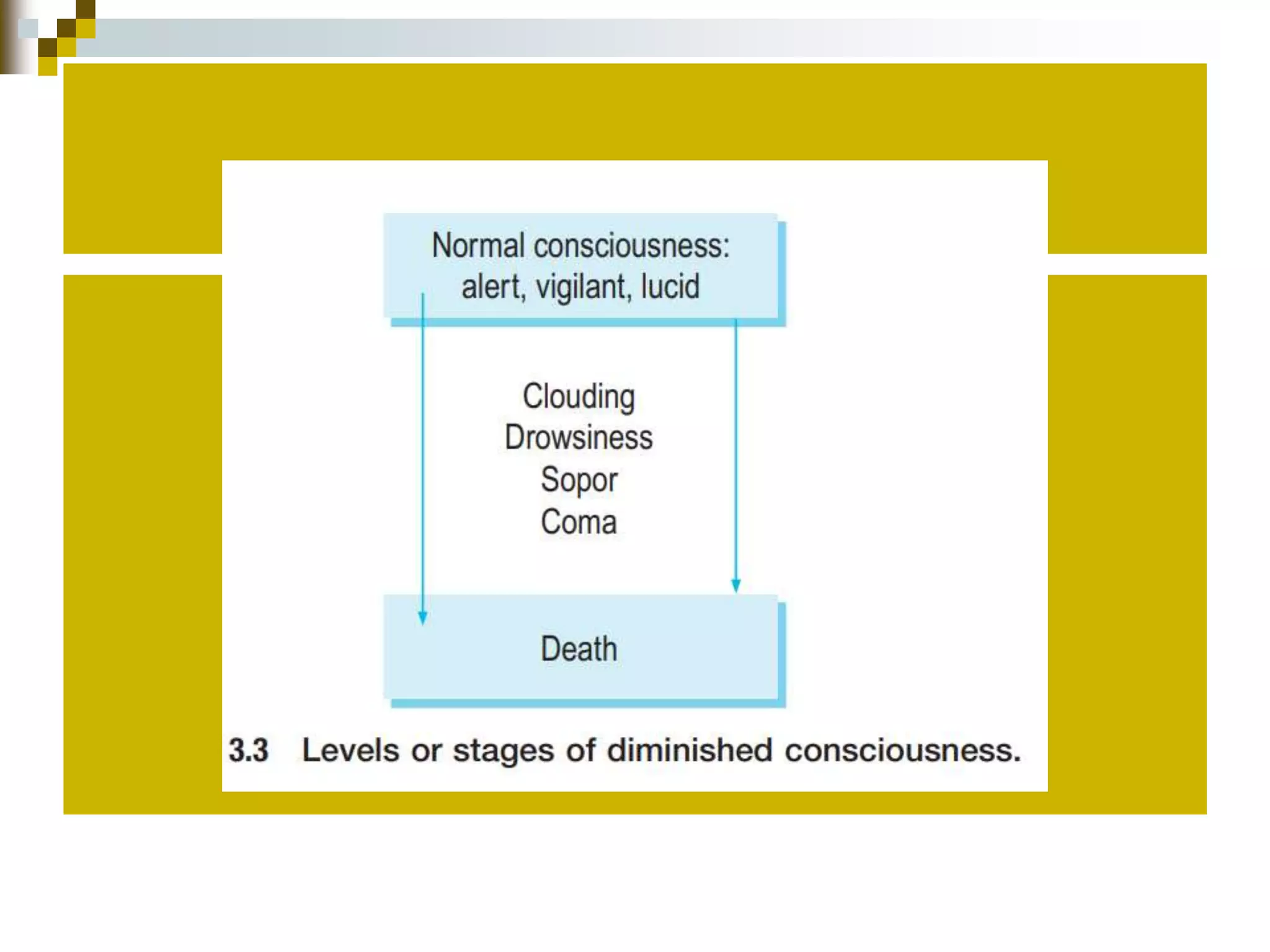 Disorders of consciousness | PPTX