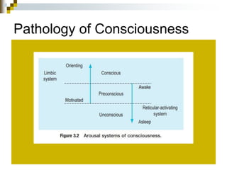 Disorders of consciousness | PPTX