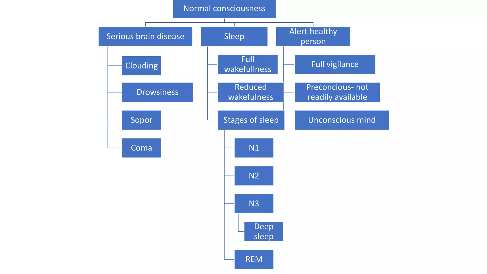Disorders of Consciousness.pptx