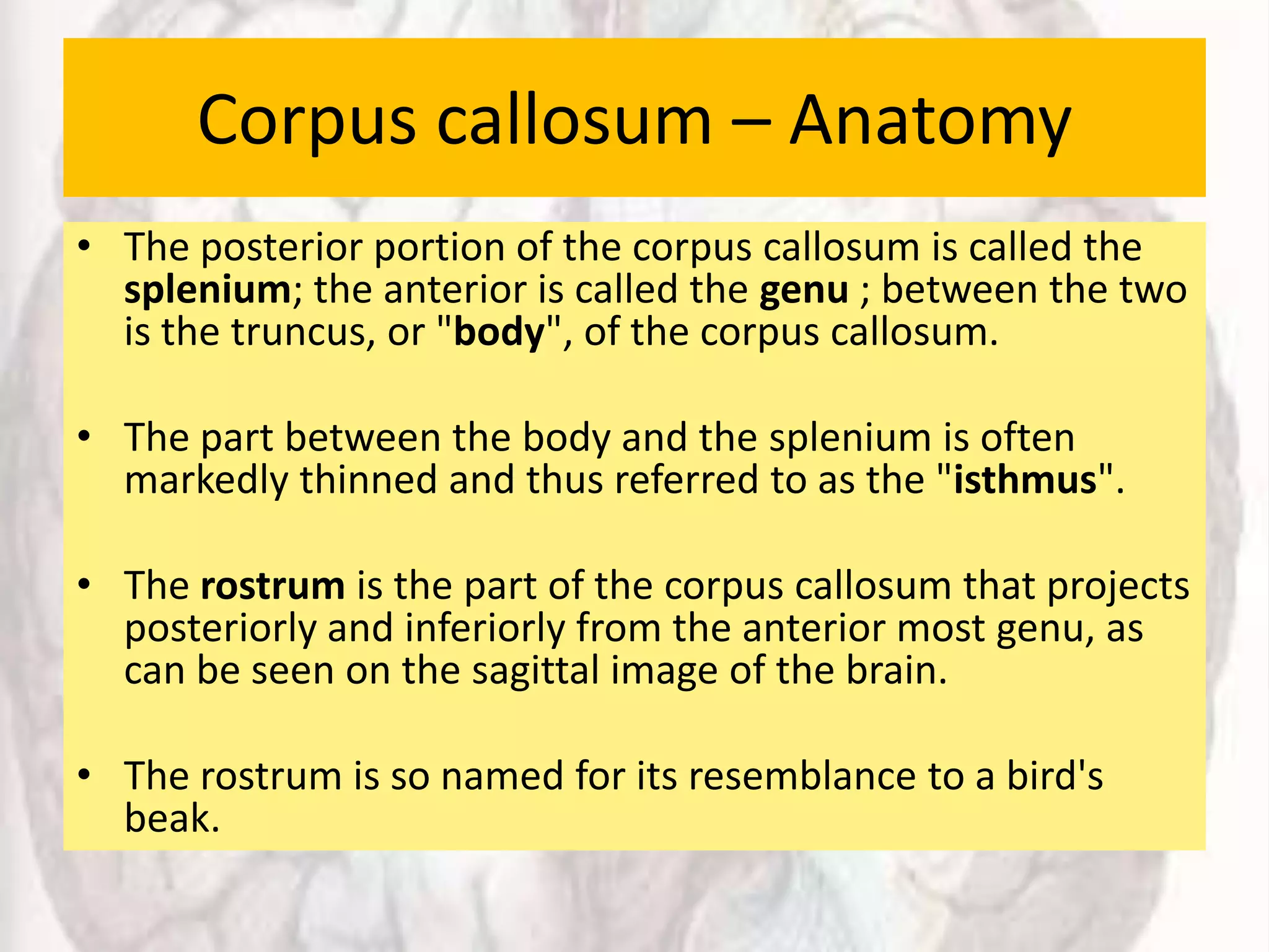 Disorders of corpus callosum | PPTX