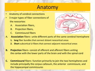 Disorders of corpus callosum | PPTX