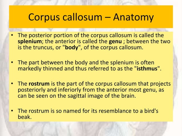 Disorders of corpus callosum | PPTX