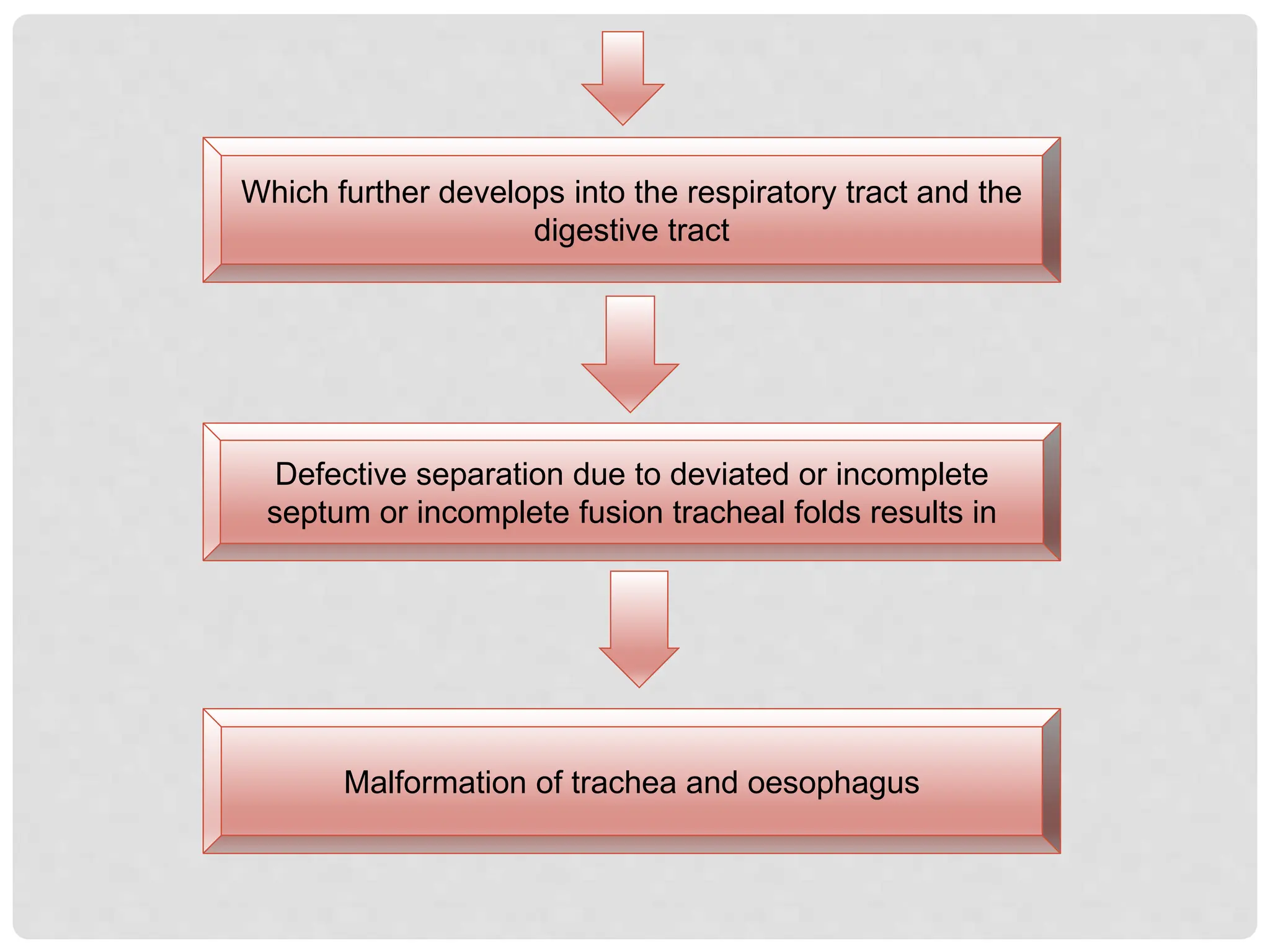 Congenital Disorders of digestive tract.pptx