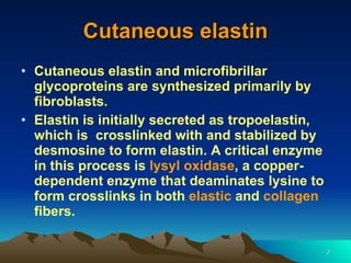 Disorders Of Elastic Tissue | PPT
