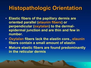 Disorders Of Elastic Tissue | PPS