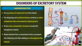 Disorders of excretory system | Human Excretory System.pdf