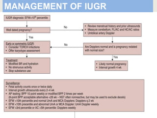 Intrauterine growth restriction | PPTX