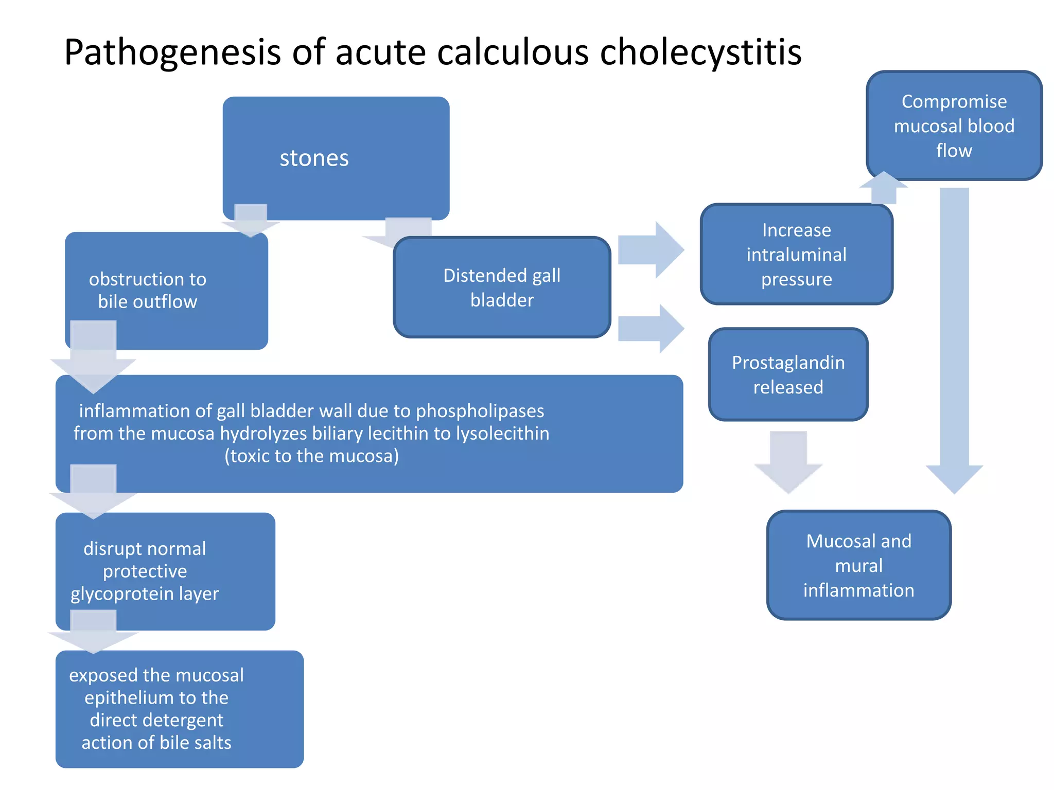 Disorders of gall bladder | PPTX