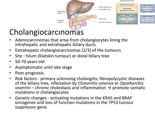 Disorders of gall bladder | PPTX