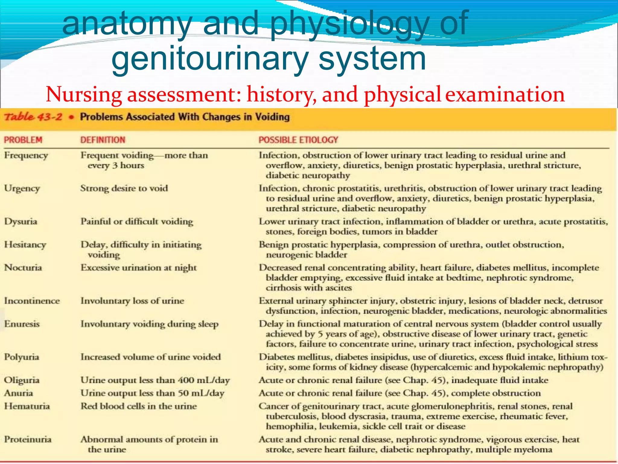 Disorders of genitourinary | PPTX