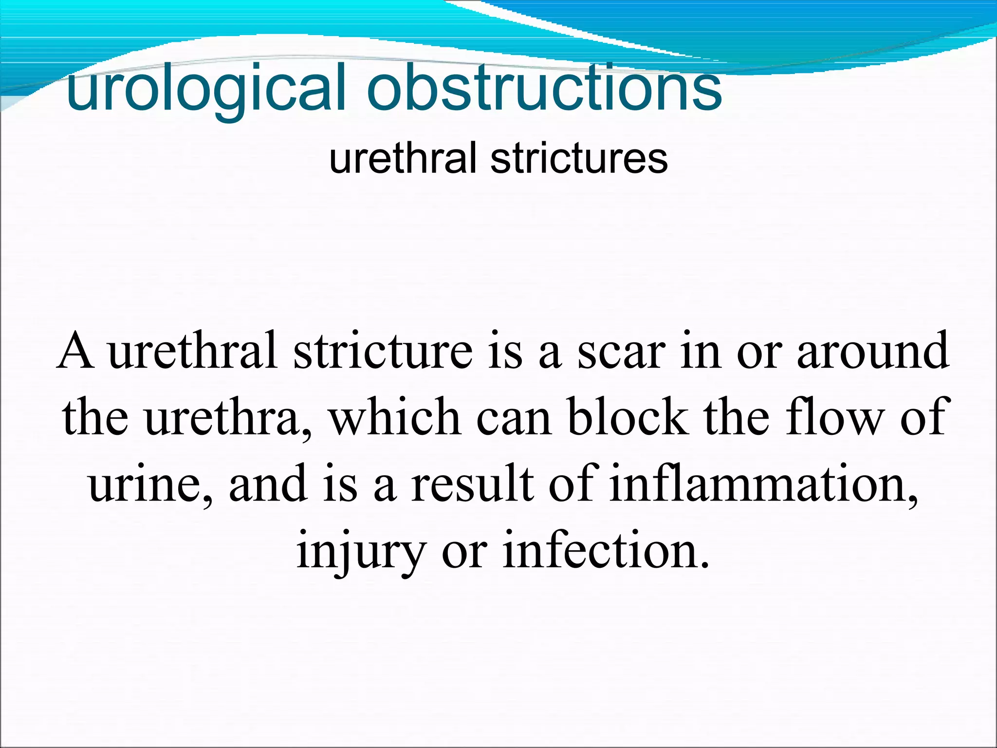 Disorders of genitourinary | PPTX