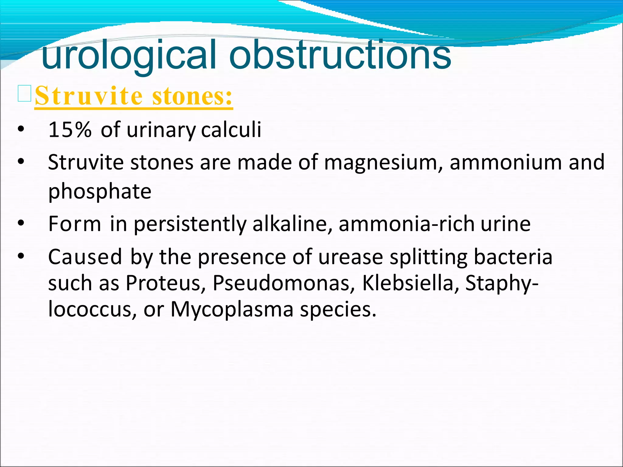Disorders of genitourinary | PPTX
