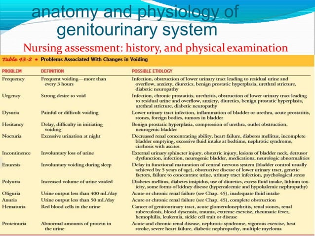 Disorders of genitourinary | PPTX | Sexual Conditions | Sexual Health