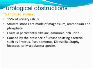 Disorders of genitourinary | PPTX