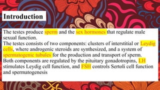 Disorders of Gonads (Congenital Disease of Gonads).pptx