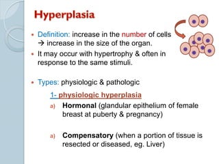 Disorders of growth. General Pathology | PDF
