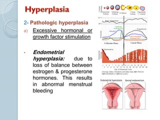 Disorders of growth. General Pathology | PDF