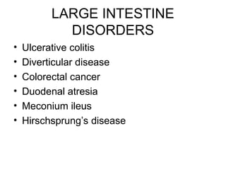 disorders of intestine large and small.ppt