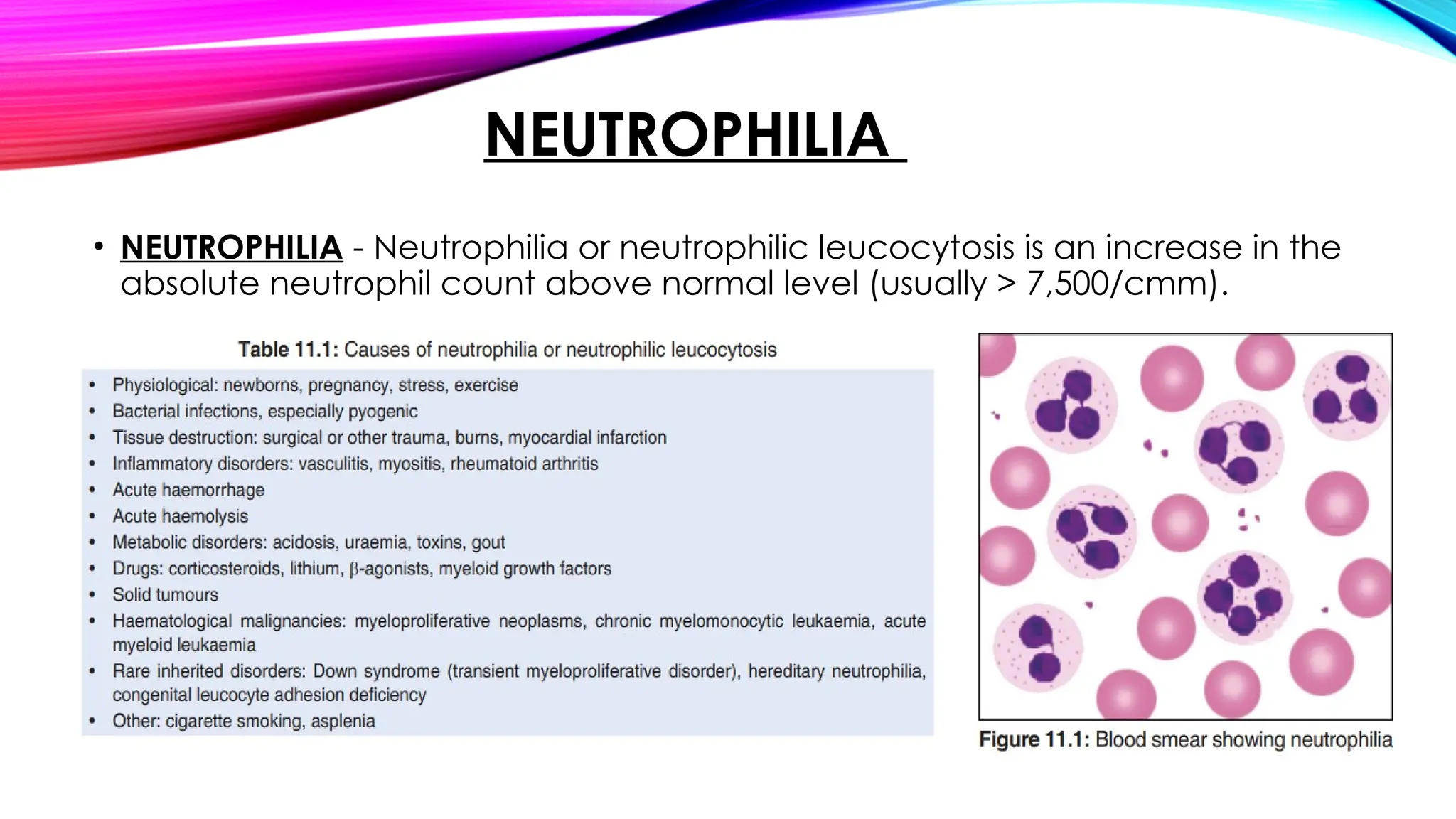 Disorders of leukocytes lecture and presentation | PPTX