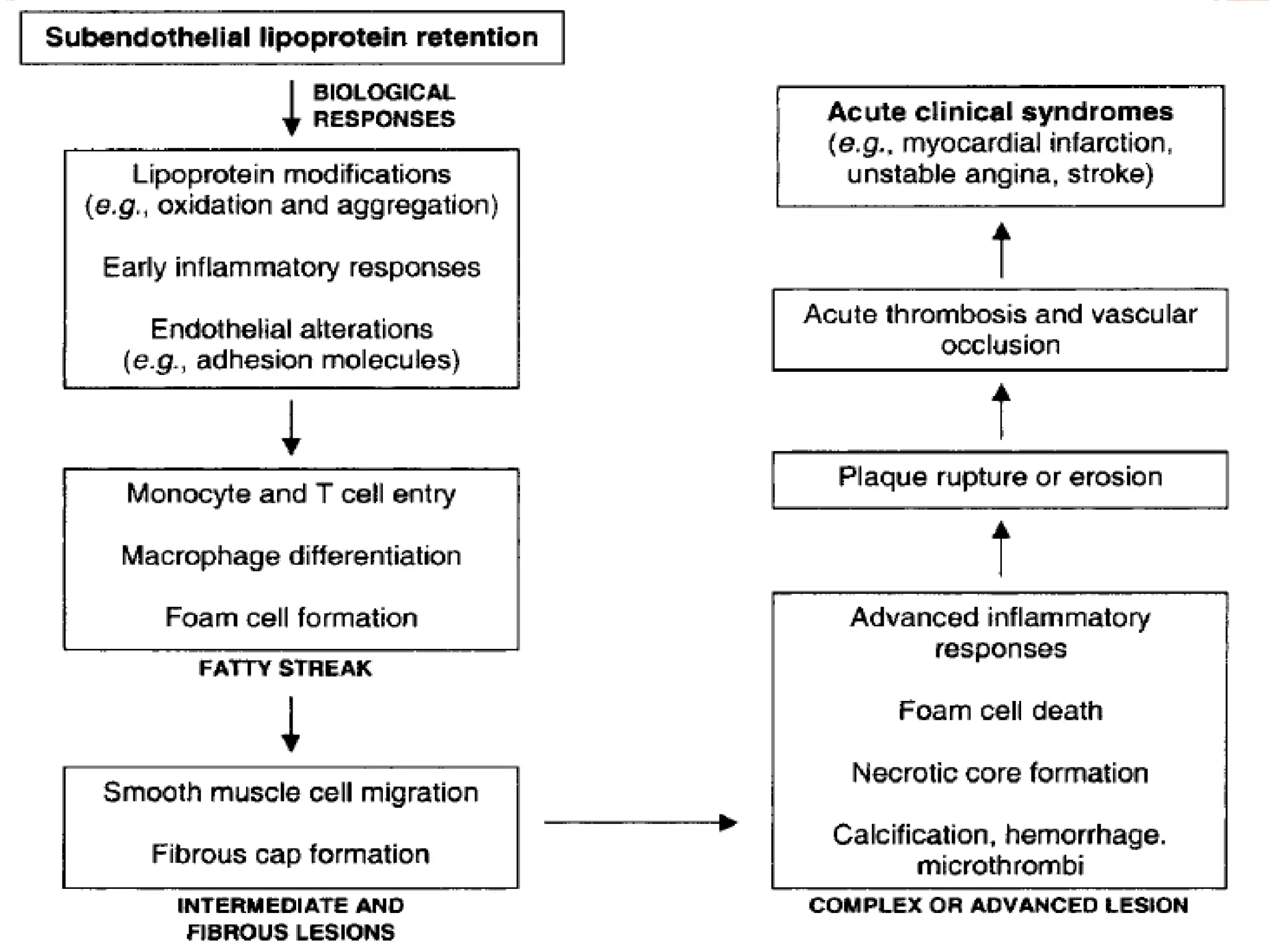 Disorders of lipid metabolism | PDF