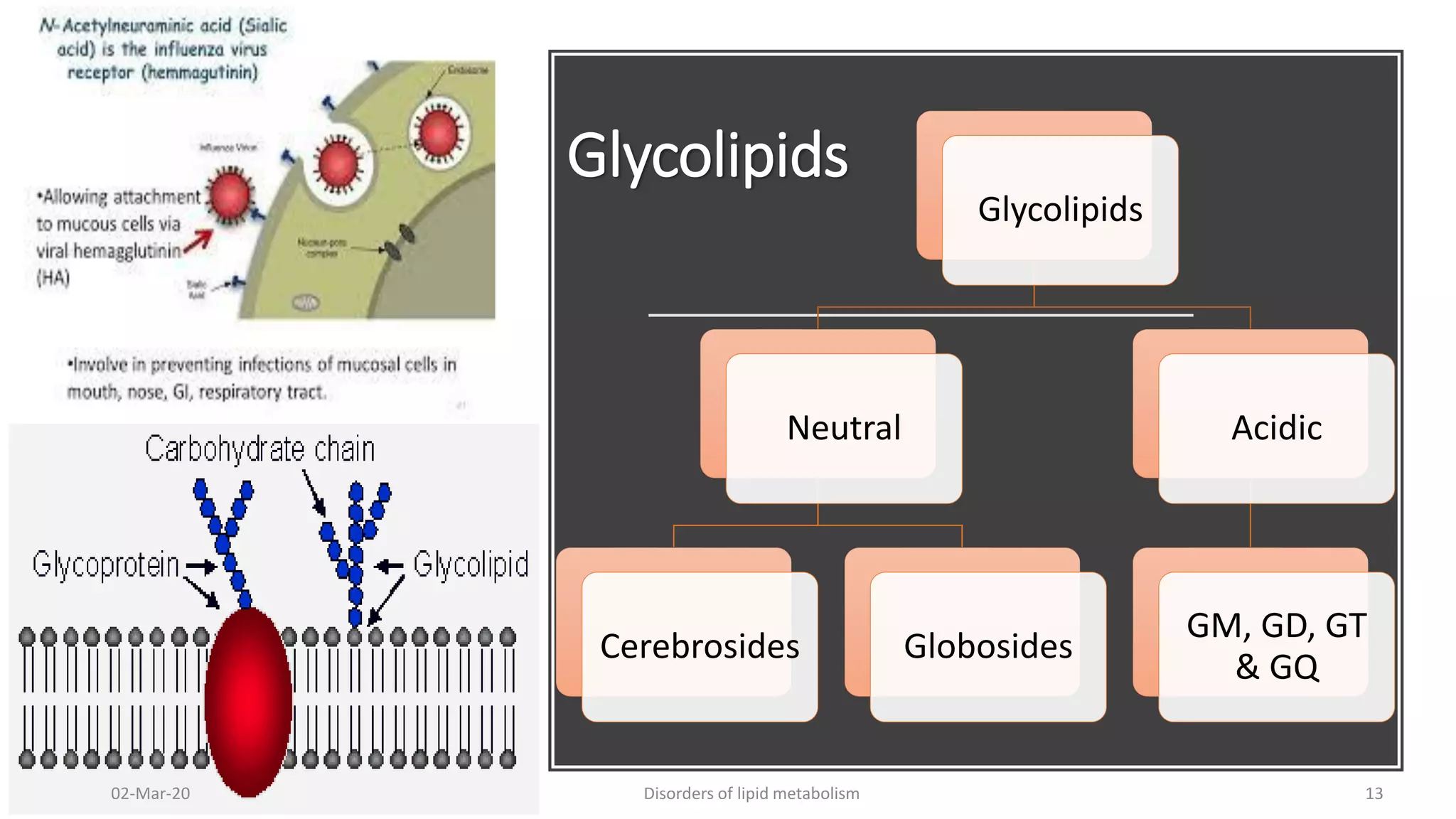 Disorders of lipid metabolism case studies-1 | PDF