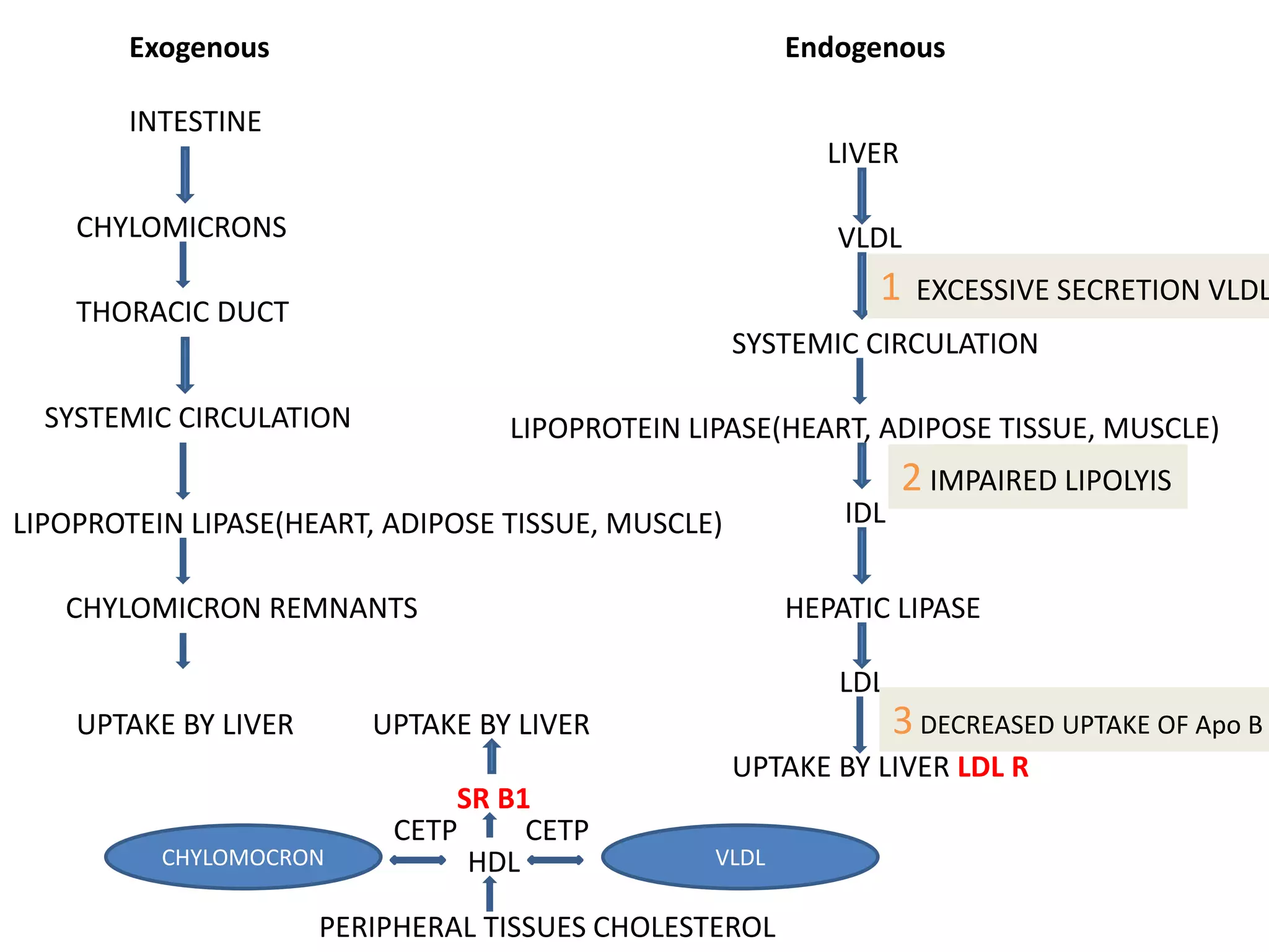 Disorders of lipoprotein metabolism | PPTX