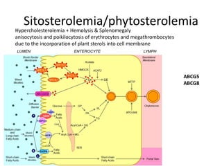 Disorders of lipoprotein metabolism | PPTX