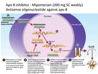 Disorders of lipoprotein metabolism | PPTX