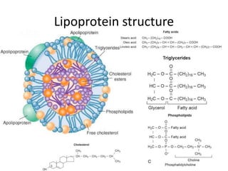 Disorders of lipoprotein metabolism | PPTX