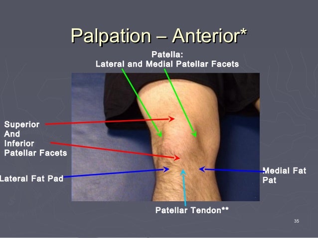 Disorders of Lower Limb