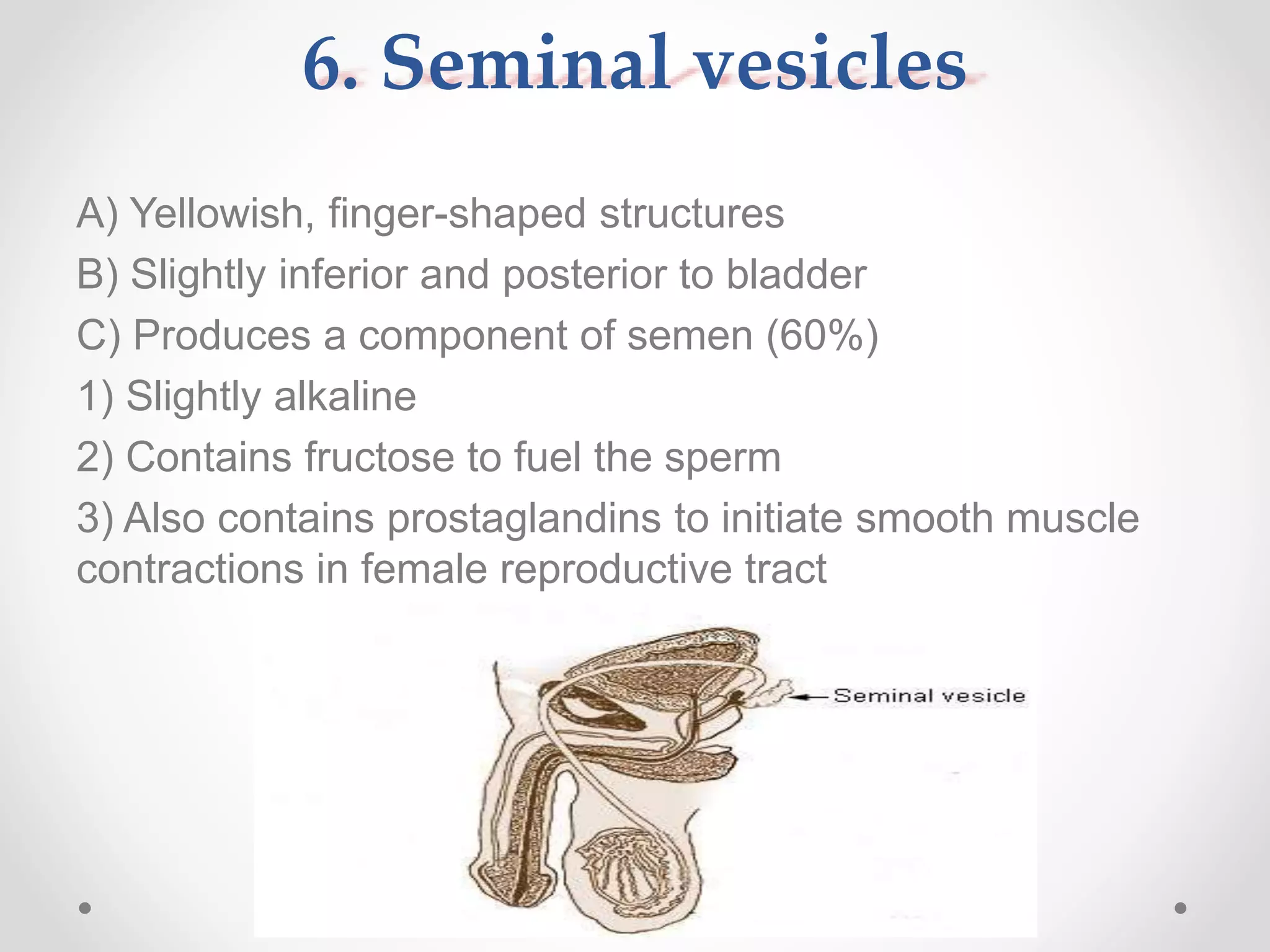 Disorders of male reproductive system | PPTX