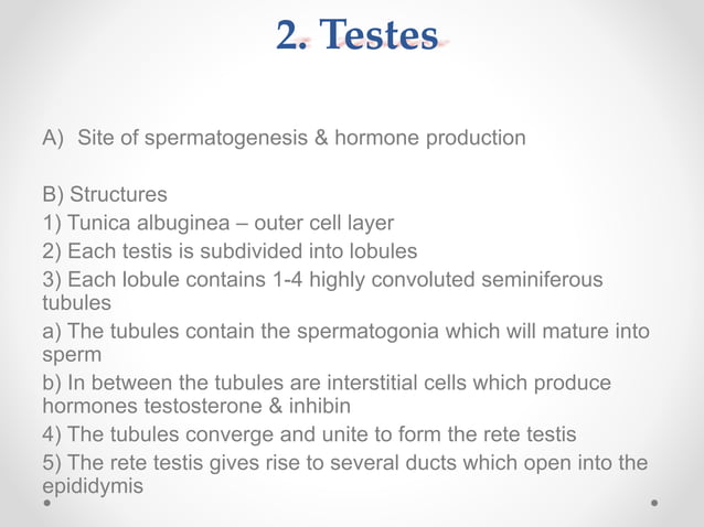 Disorders of male reproductive system | PPTX