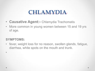 Disorders of male reproductive system | PPTX