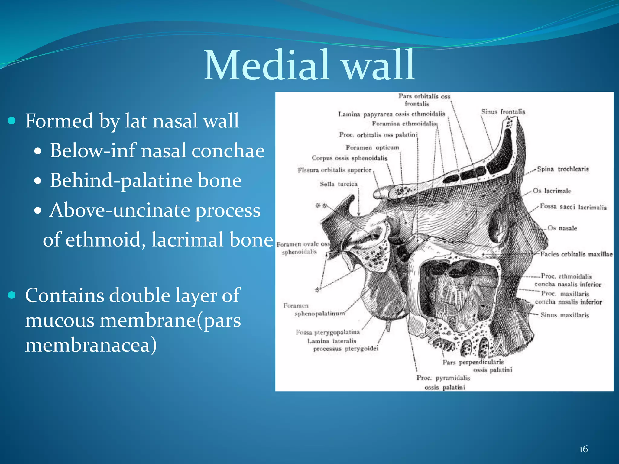 Disorders of Maxillary Sinus | PPTX